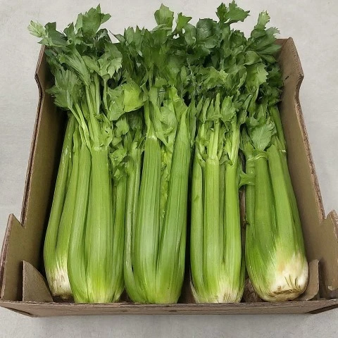 Organic Celery Box – Australian-Grown Certified Organic Celery
